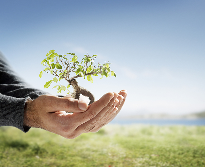 Home [www.pyramisgroup.de]